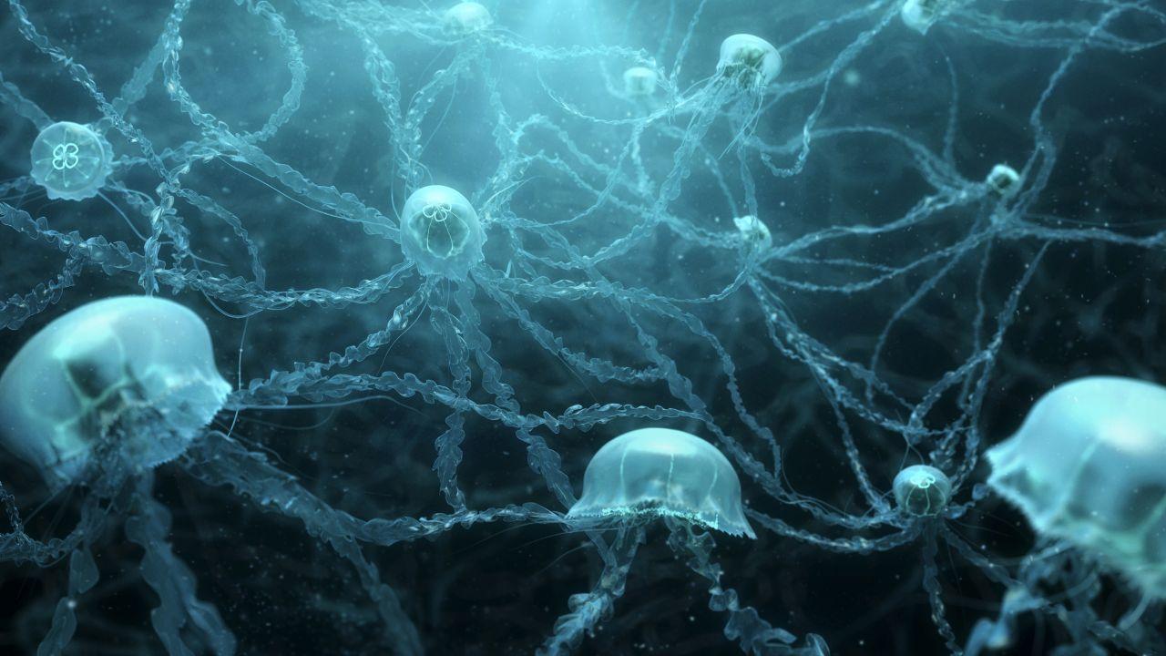 Neurons Wallpapers - Top Free Neurons Backgrounds - WallpaperAccess