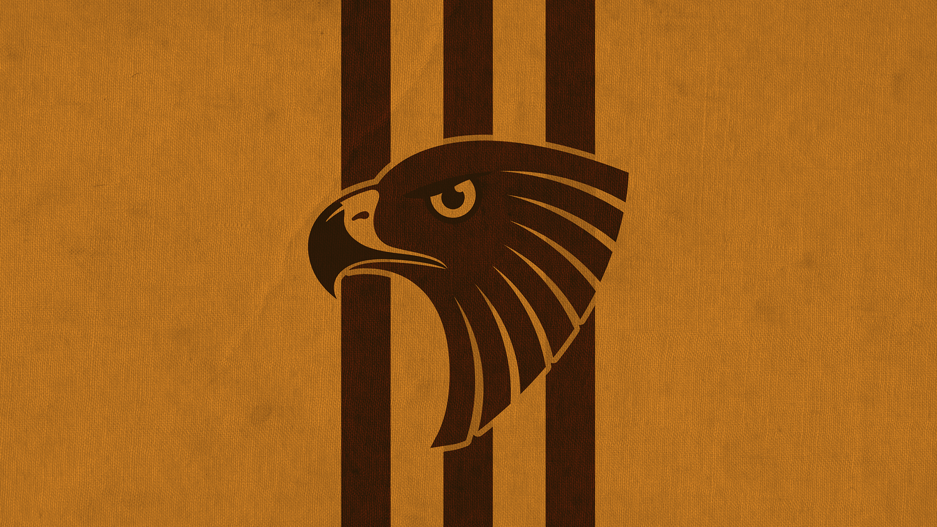 AFL Wallpapers - Top Free AFL Backgrounds - WallpaperAccess