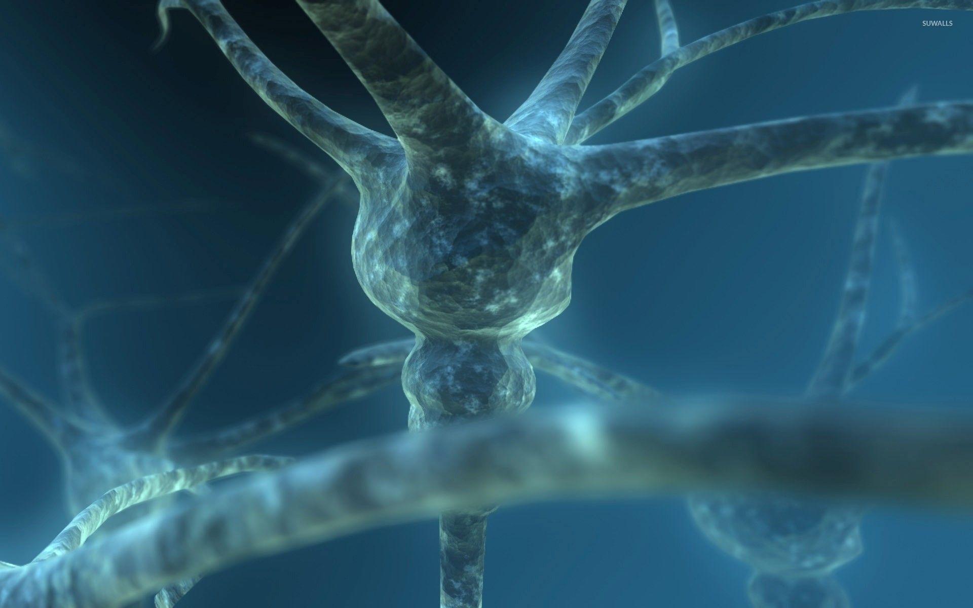 Neurons Wallpapers - Top Free Neurons Backgrounds - WallpaperAccess