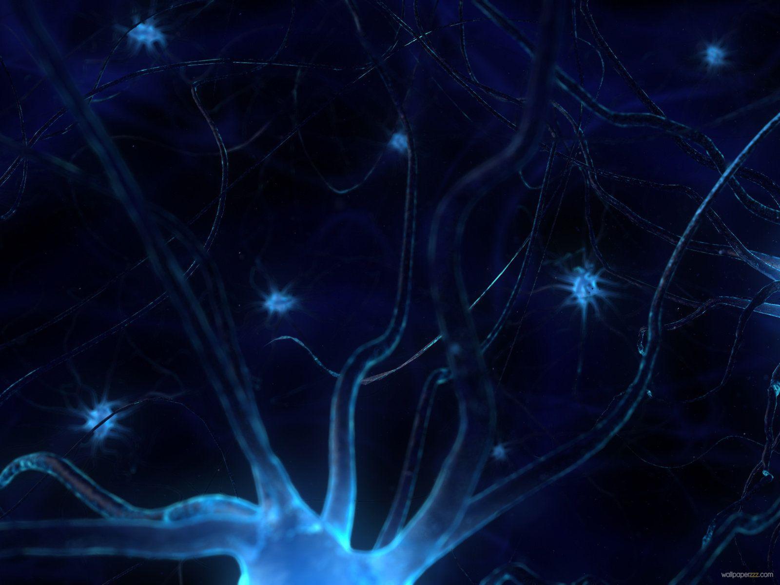 Neurons Wallpapers - Top Free Neurons Backgrounds - WallpaperAccess