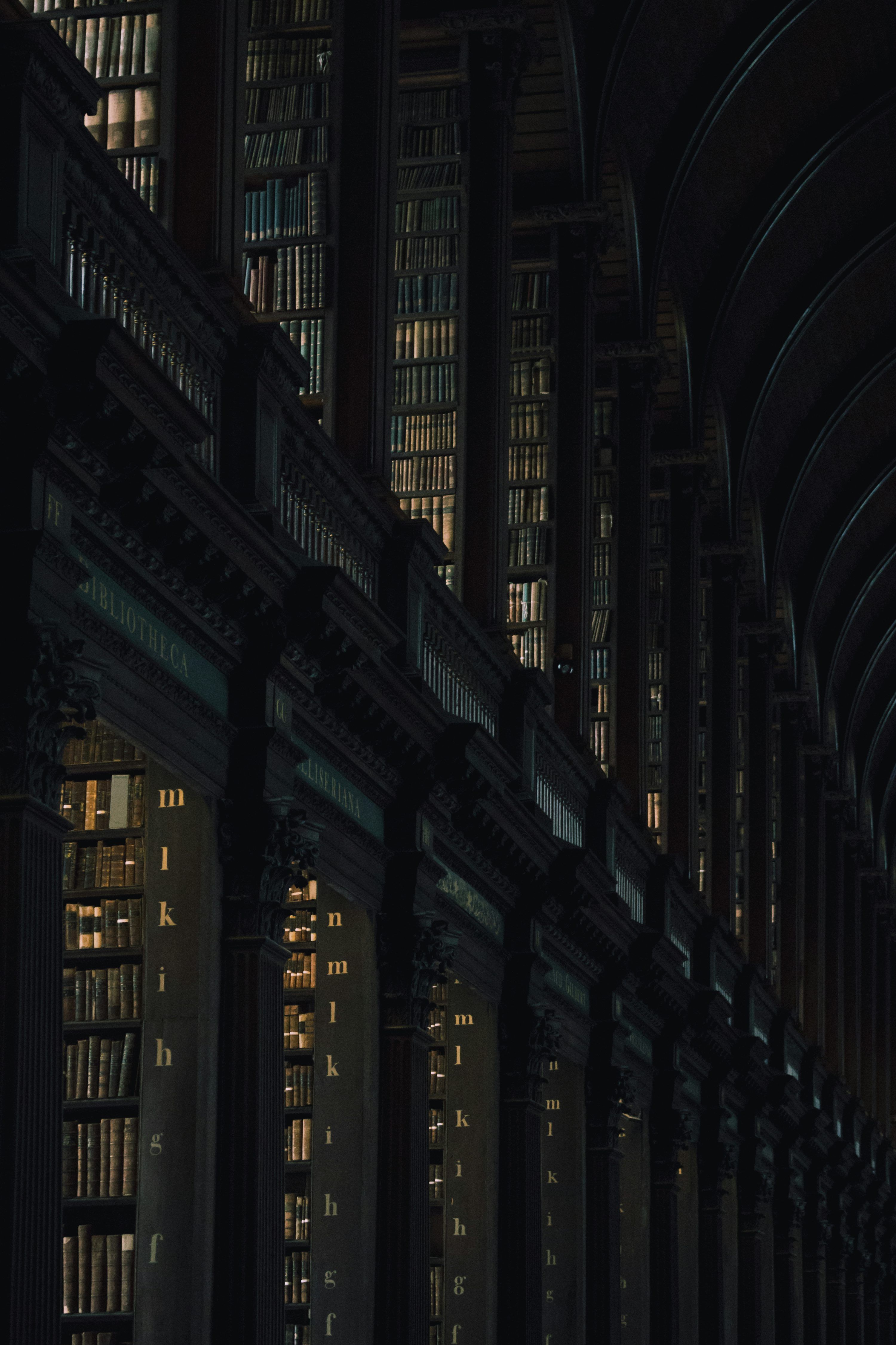 Dark Academia Library Wallpapers - Top Free Dark Academia Library ...