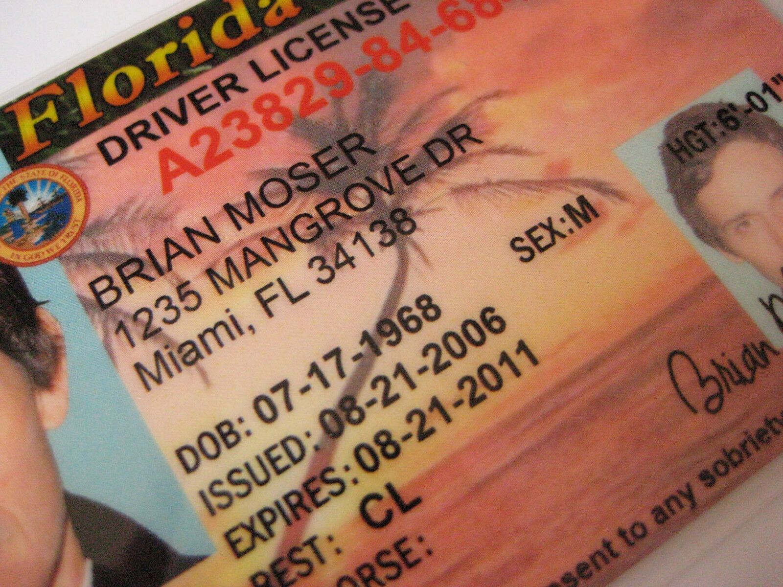 Brian Moser Wallpapers - Top Free Brian Moser Backgrounds - WallpaperAccess