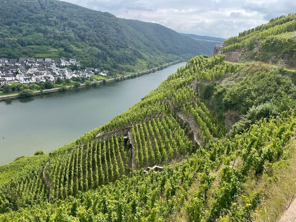 Mosel Wallpapers - Top Free Mosel Backgrounds - WallpaperAccess