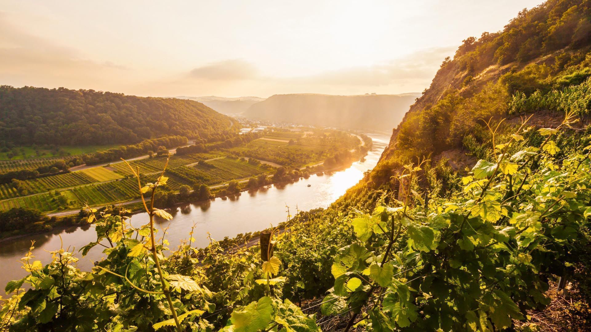 Mosel Wallpapers - Top Free Mosel Backgrounds - WallpaperAccess