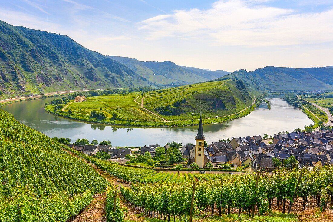 Mosel Wallpapers - Top Free Mosel Backgrounds - WallpaperAccess