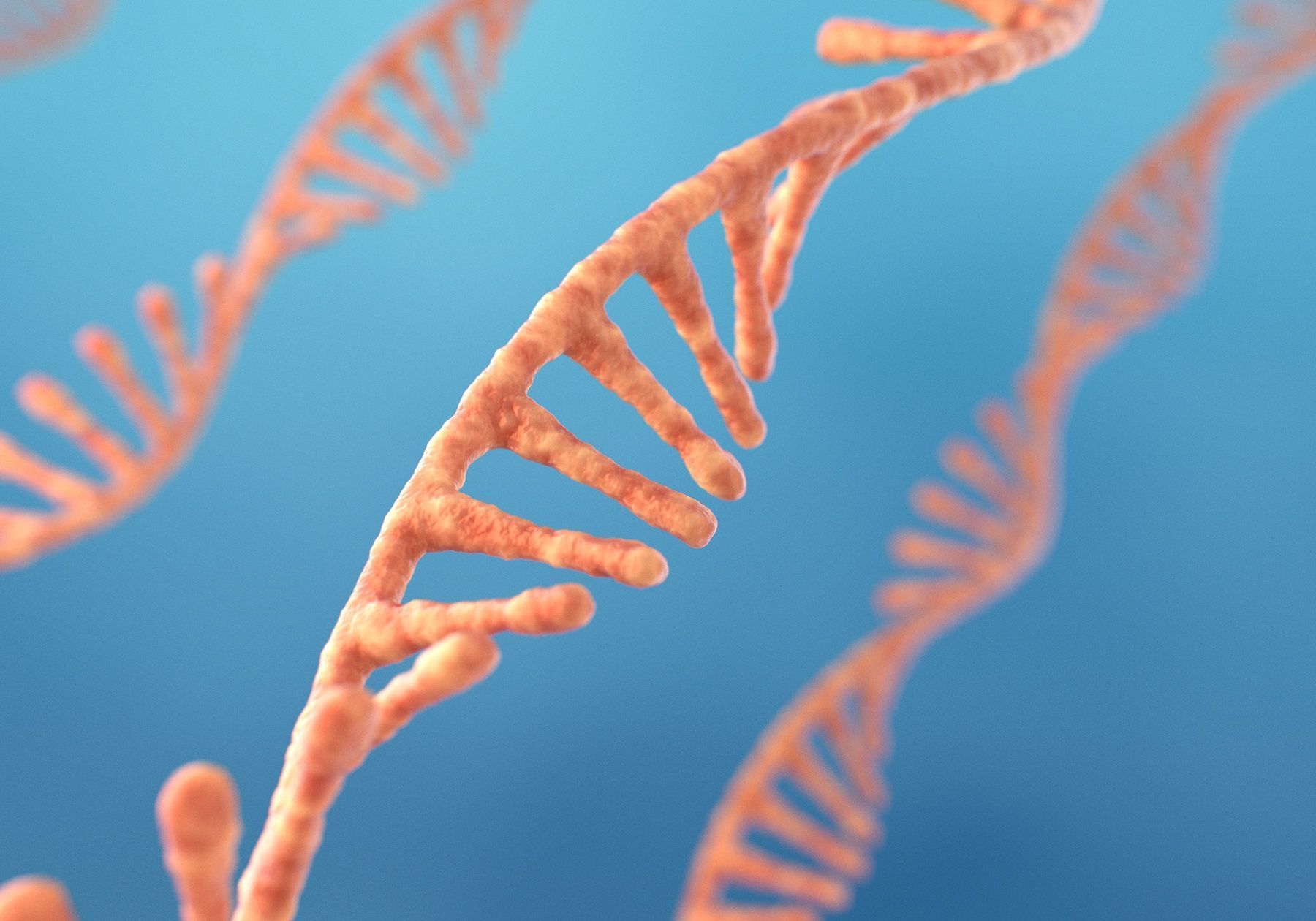 RNA Wallpapers - Top Free RNA Backgrounds - WallpaperAccess