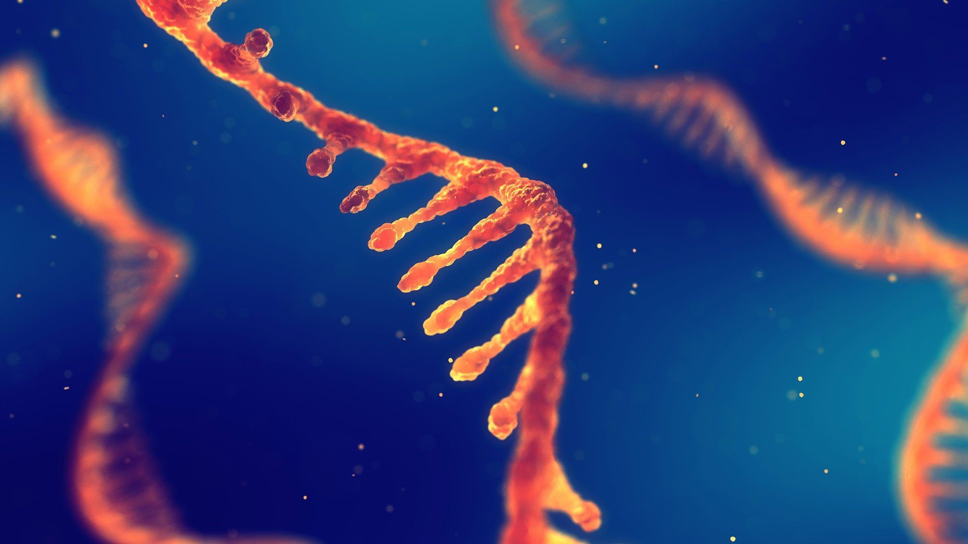 RNA Wallpapers - Top Free RNA Backgrounds - WallpaperAccess