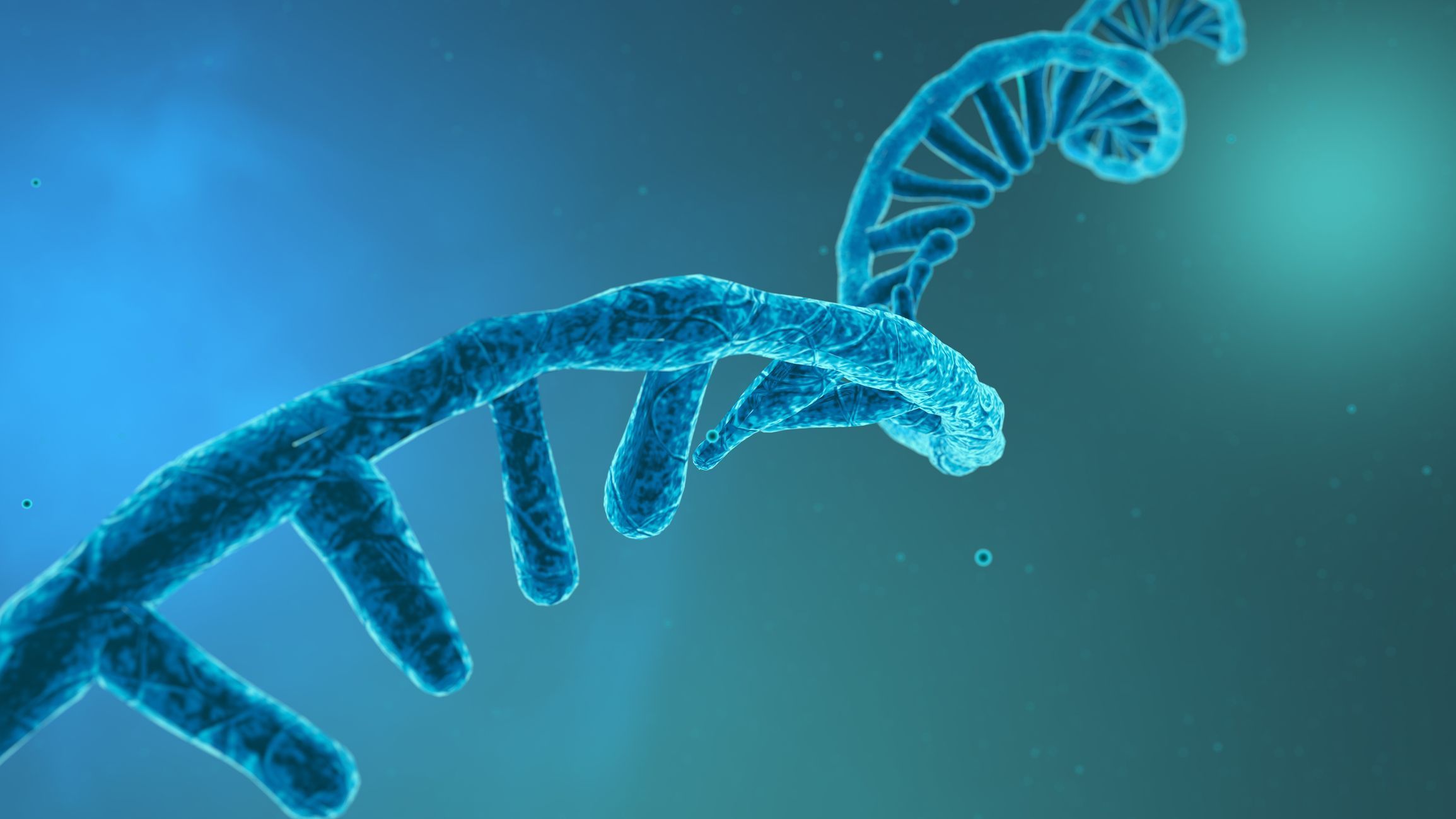 RNA Wallpapers - Top Free RNA Backgrounds - WallpaperAccess