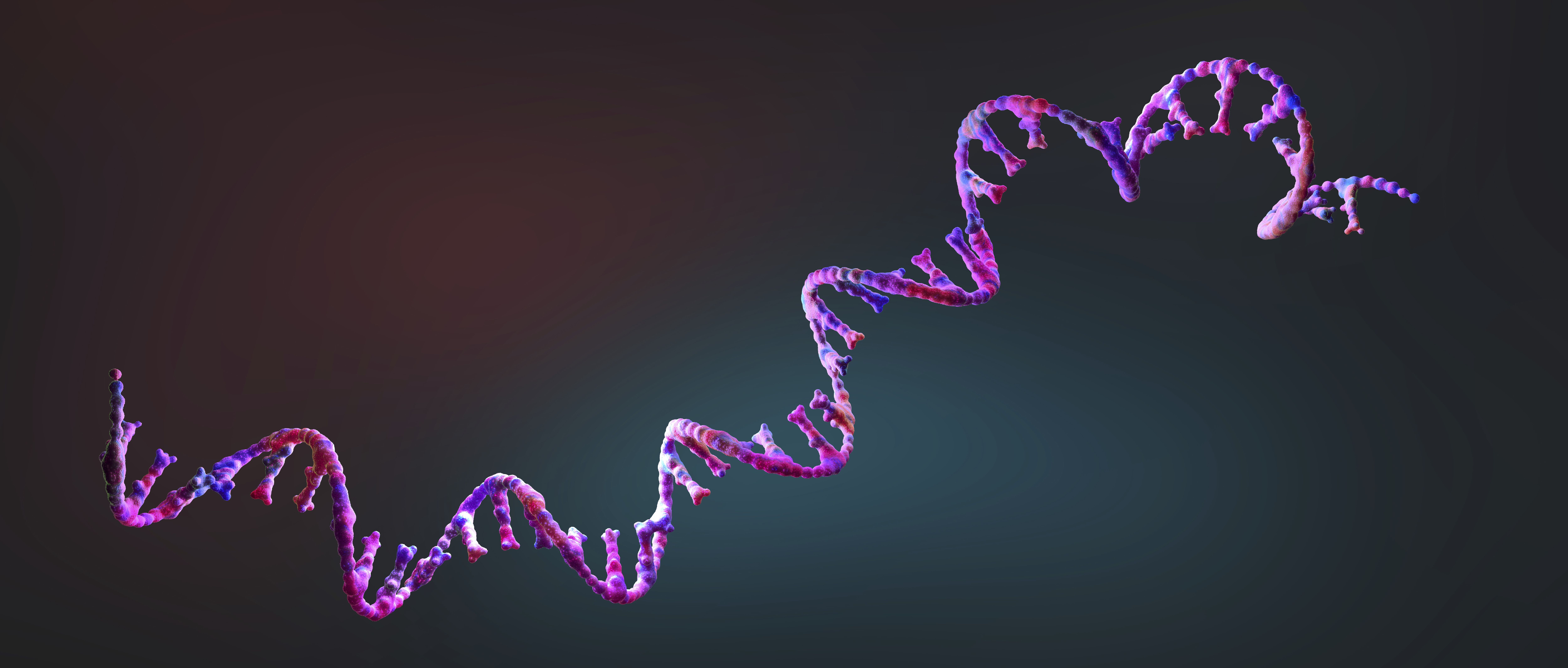 RNA Wallpapers - Top Free RNA Backgrounds - WallpaperAccess