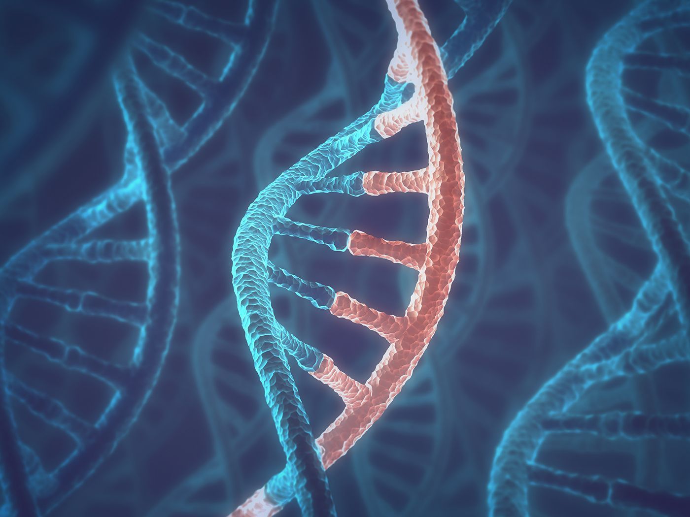 RNA Wallpapers - Top Free RNA Backgrounds - WallpaperAccess