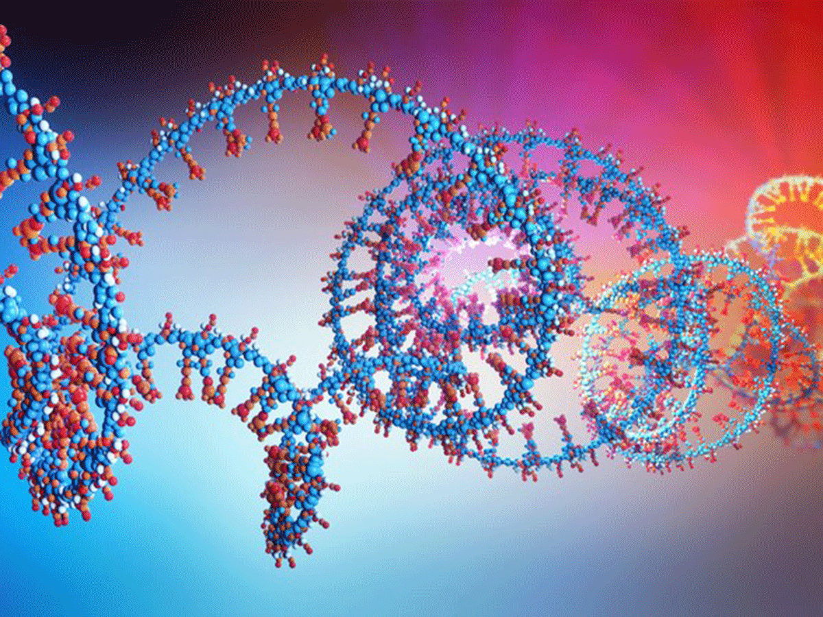 RNA Wallpapers - Top Free RNA Backgrounds - WallpaperAccess
