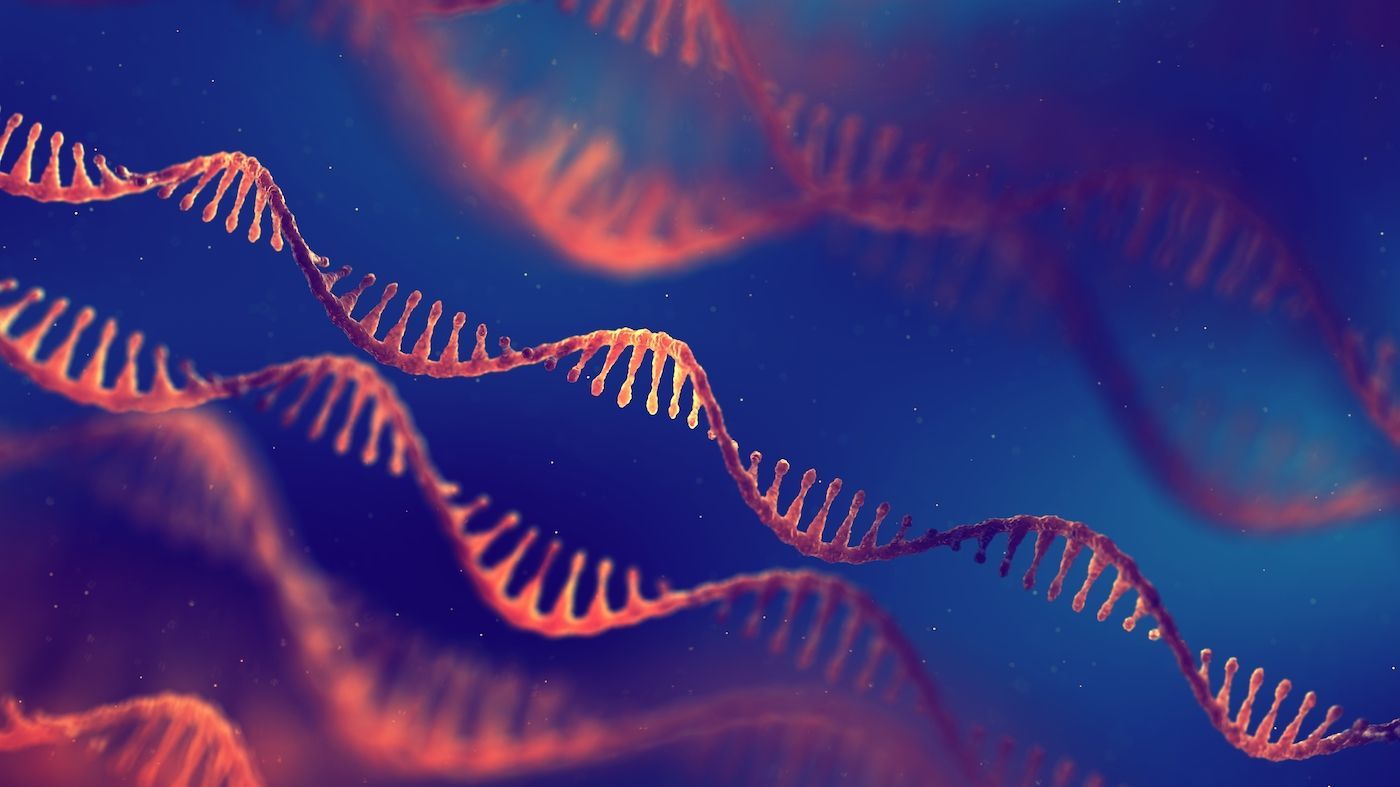 RNA Wallpapers - Top Free RNA Backgrounds - WallpaperAccess