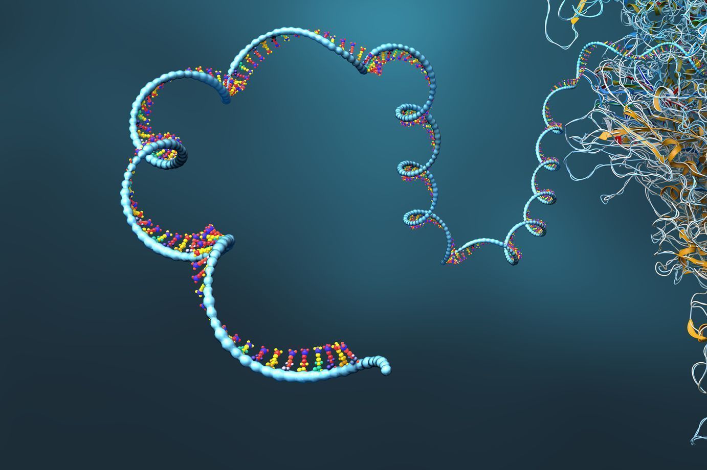RNA Wallpapers - Top Free RNA Backgrounds - WallpaperAccess