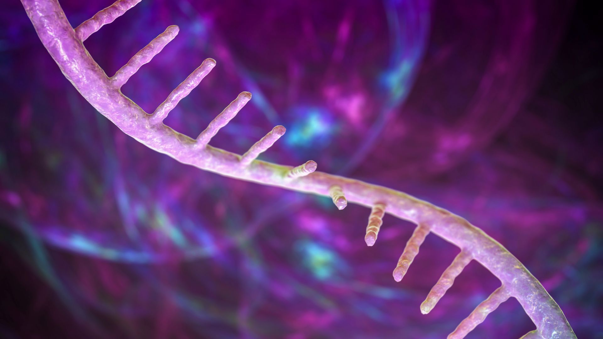 RNA Wallpapers - Top Free RNA Backgrounds - WallpaperAccess