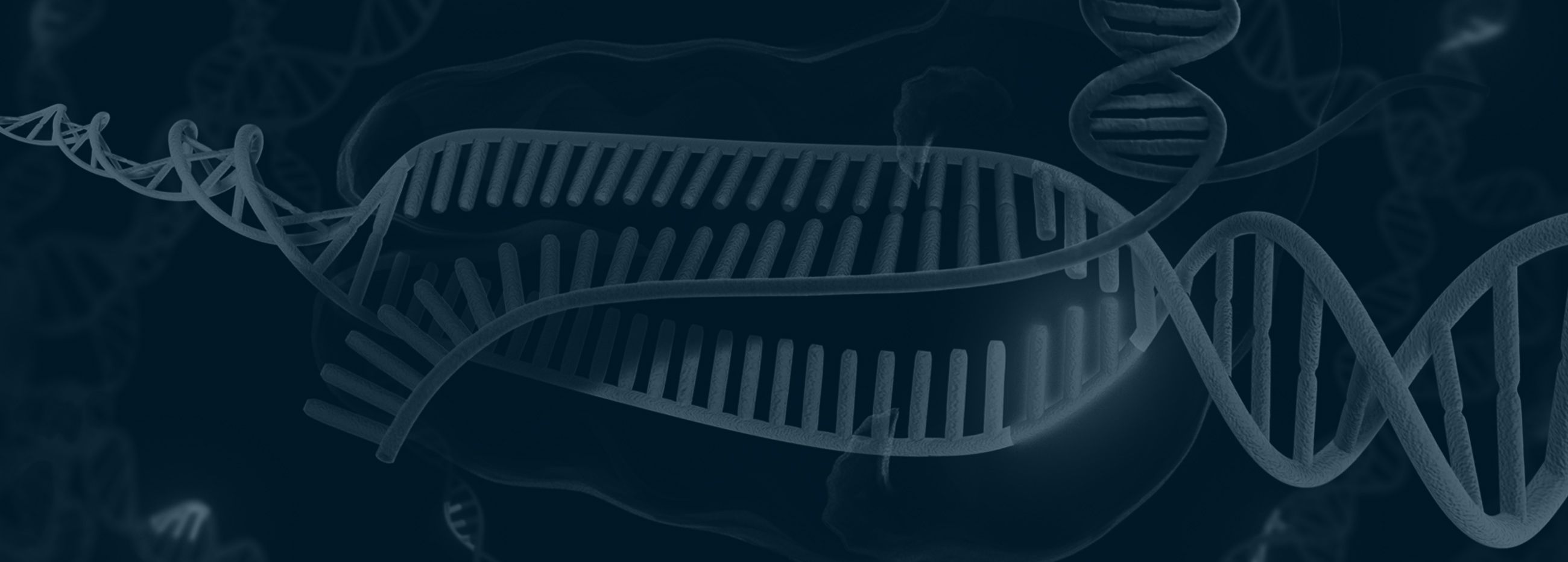RNA Wallpapers - Top Free RNA Backgrounds - WallpaperAccess