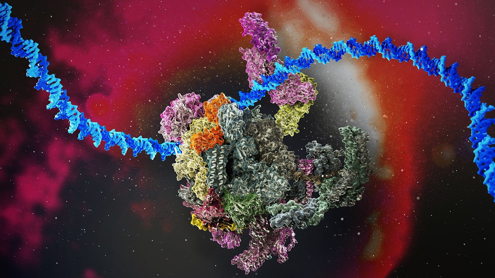 RNA Wallpapers - Top Free RNA Backgrounds - WallpaperAccess