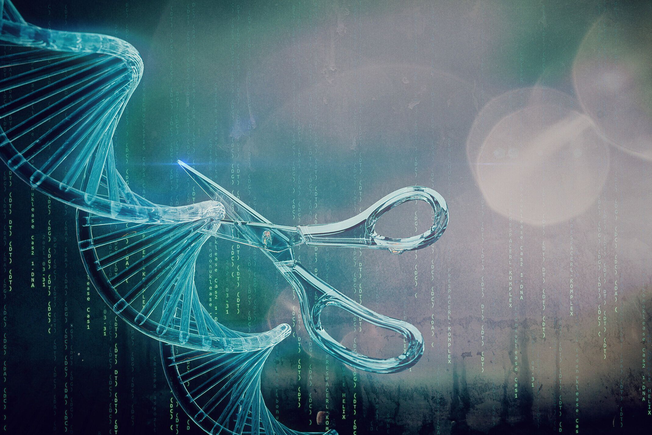 RNA Wallpapers - Top Free RNA Backgrounds - WallpaperAccess
