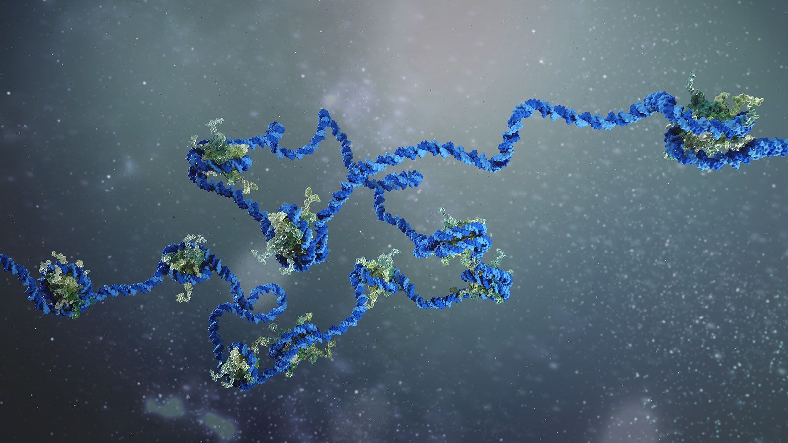 RNA Wallpapers - Top Free RNA Backgrounds - WallpaperAccess