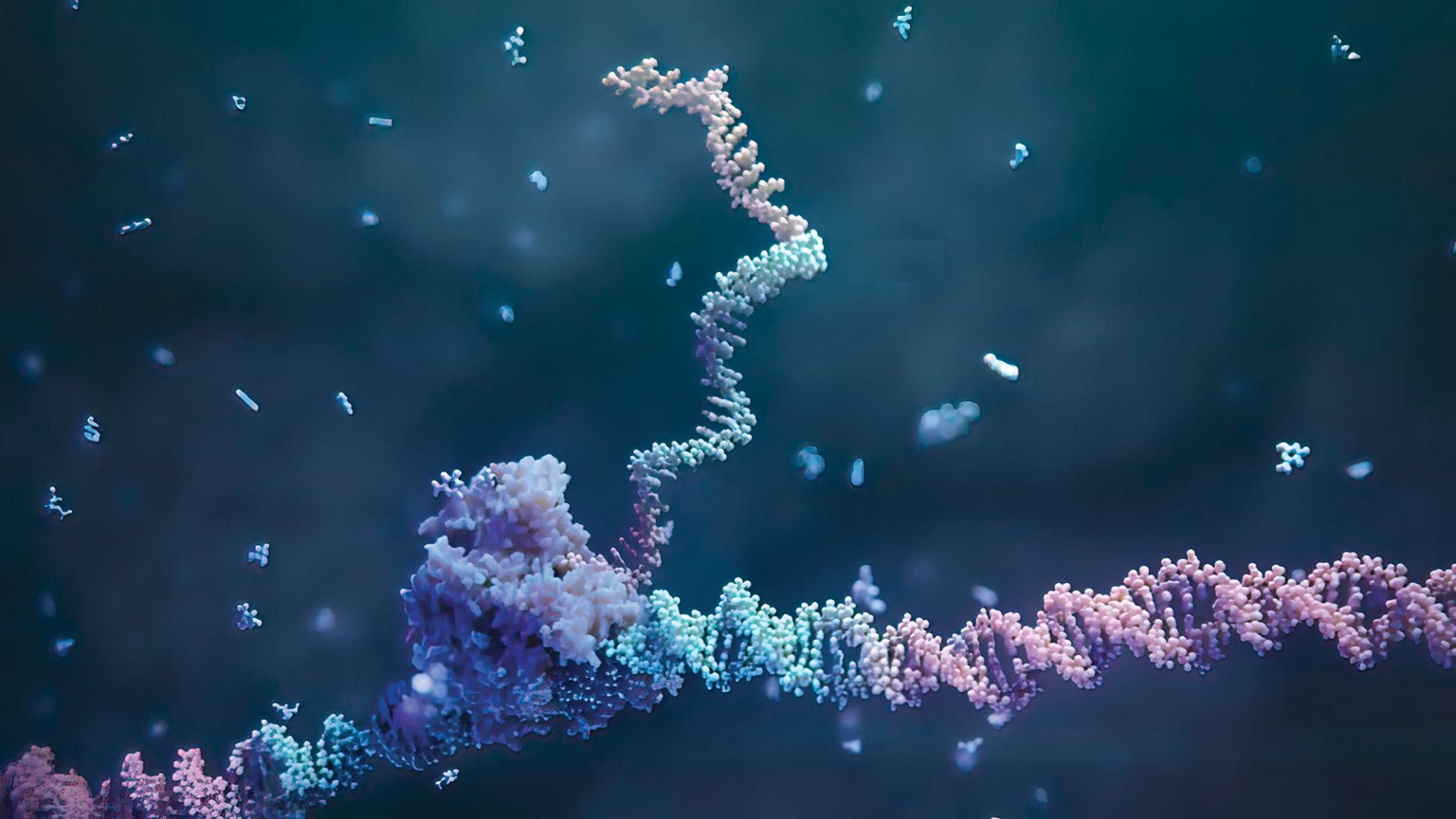 RNA Wallpapers - Top Free RNA Backgrounds - WallpaperAccess