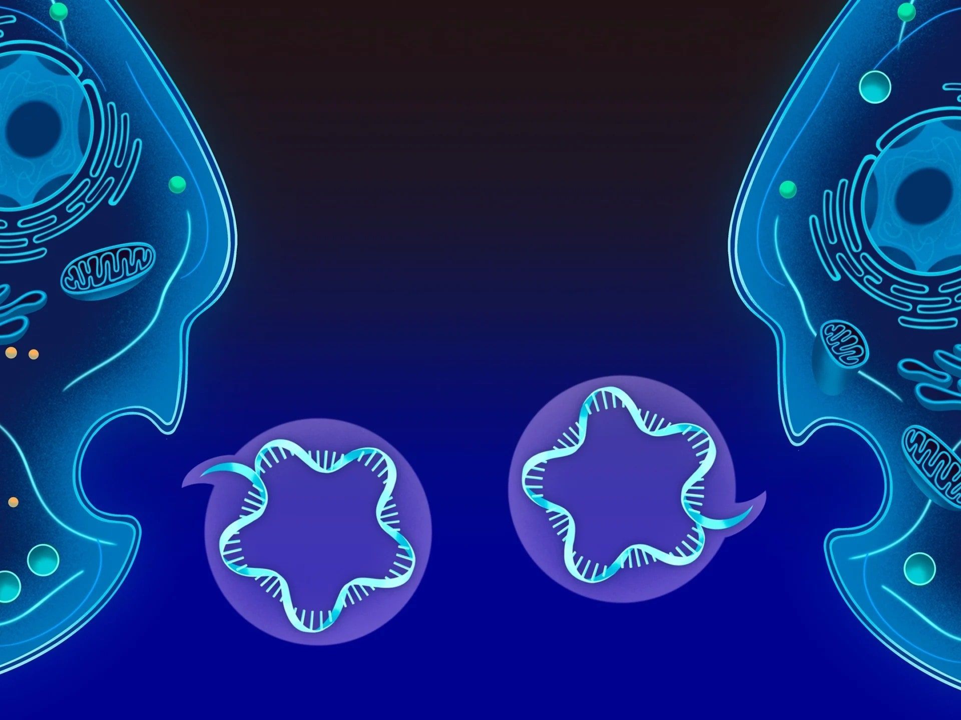 RNA Wallpapers - Top Free RNA Backgrounds - WallpaperAccess