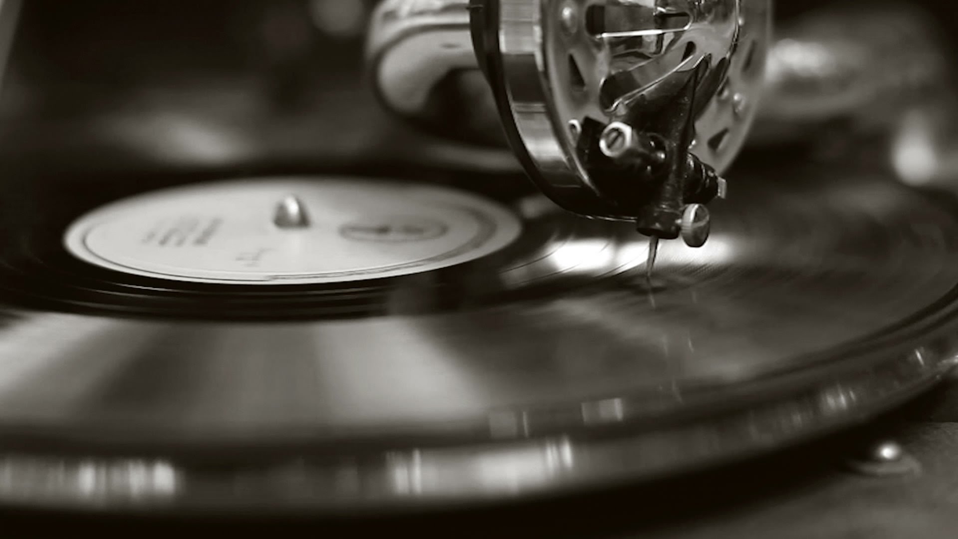 Plak Wallpapers - Top Free Plak Backgrounds - WallpaperAccess