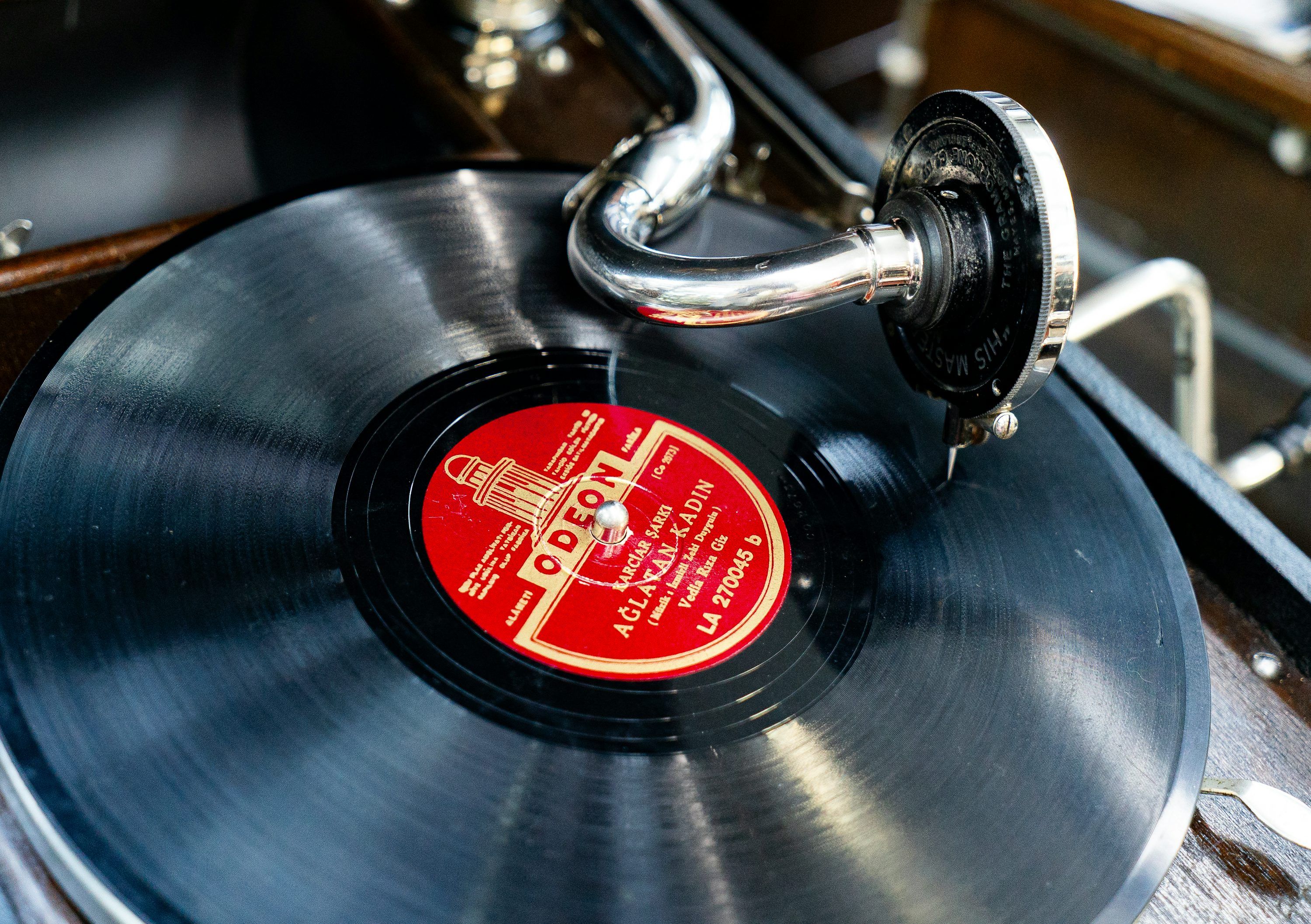 Plak Wallpapers - Top Free Plak Backgrounds - WallpaperAccess