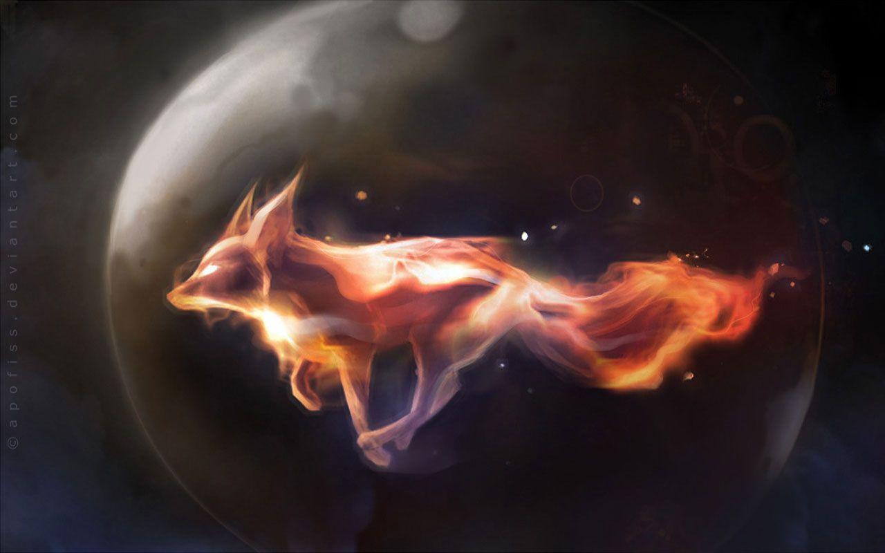Cool Fox Wallpapers - Top Free Cool Fox Backgrounds - WallpaperAccess