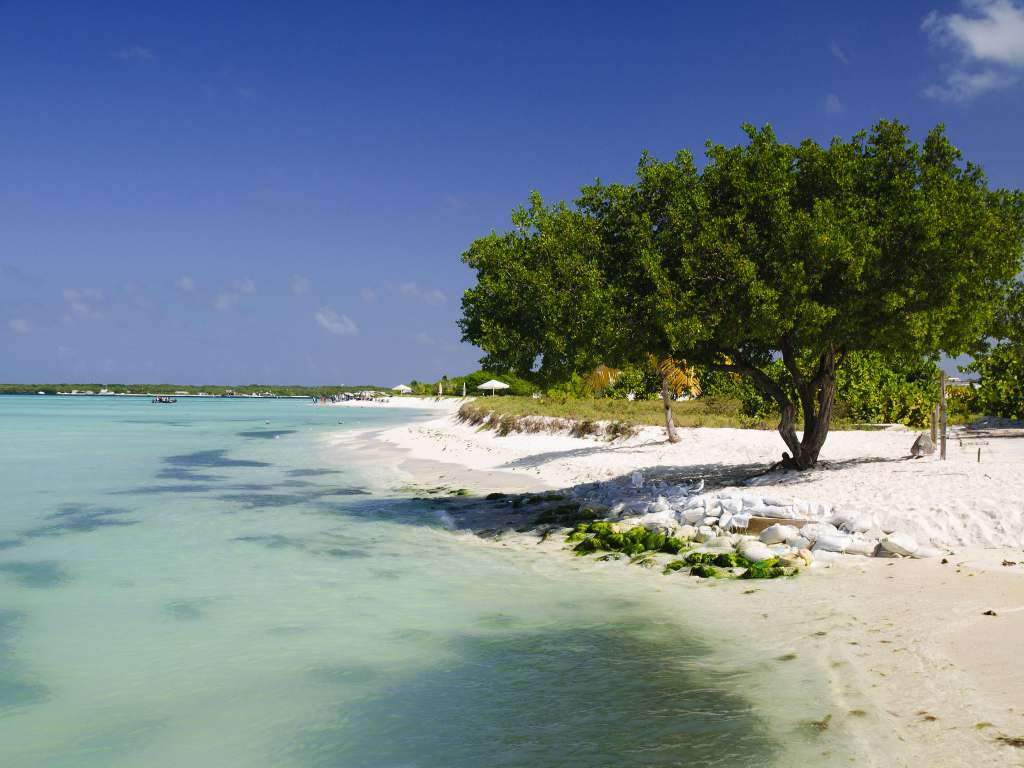 LOS ROQUES Wallpapers - Top Free LOS ROQUES Backgrounds - WallpaperAccess