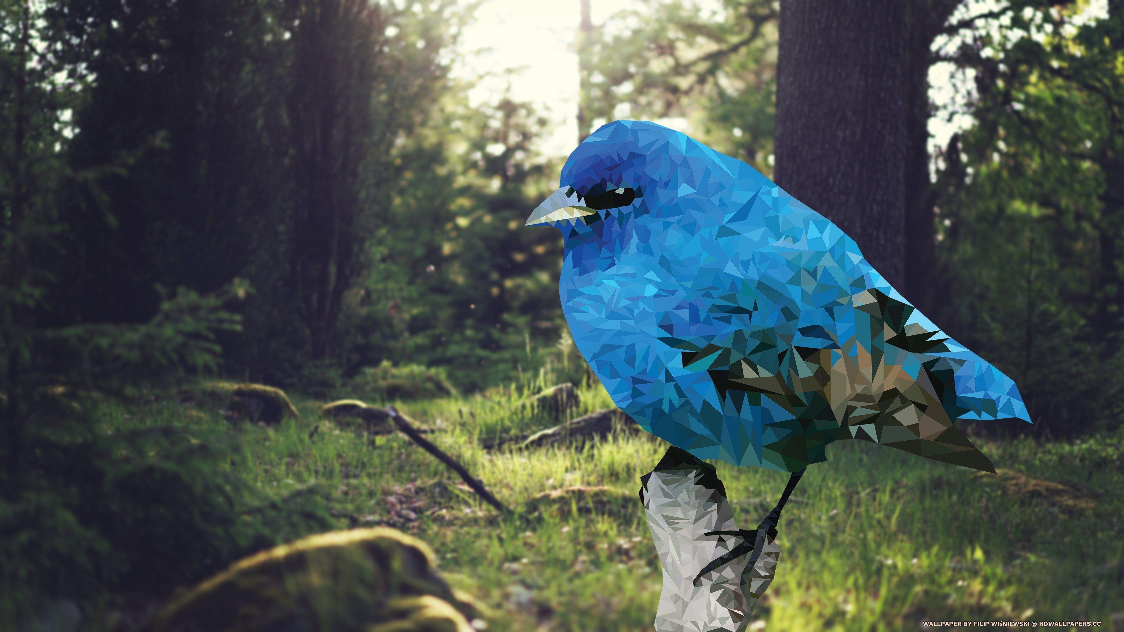 Blue Bird Wallpapers - Top Free Blue Bird Backgrounds - WallpaperAccess