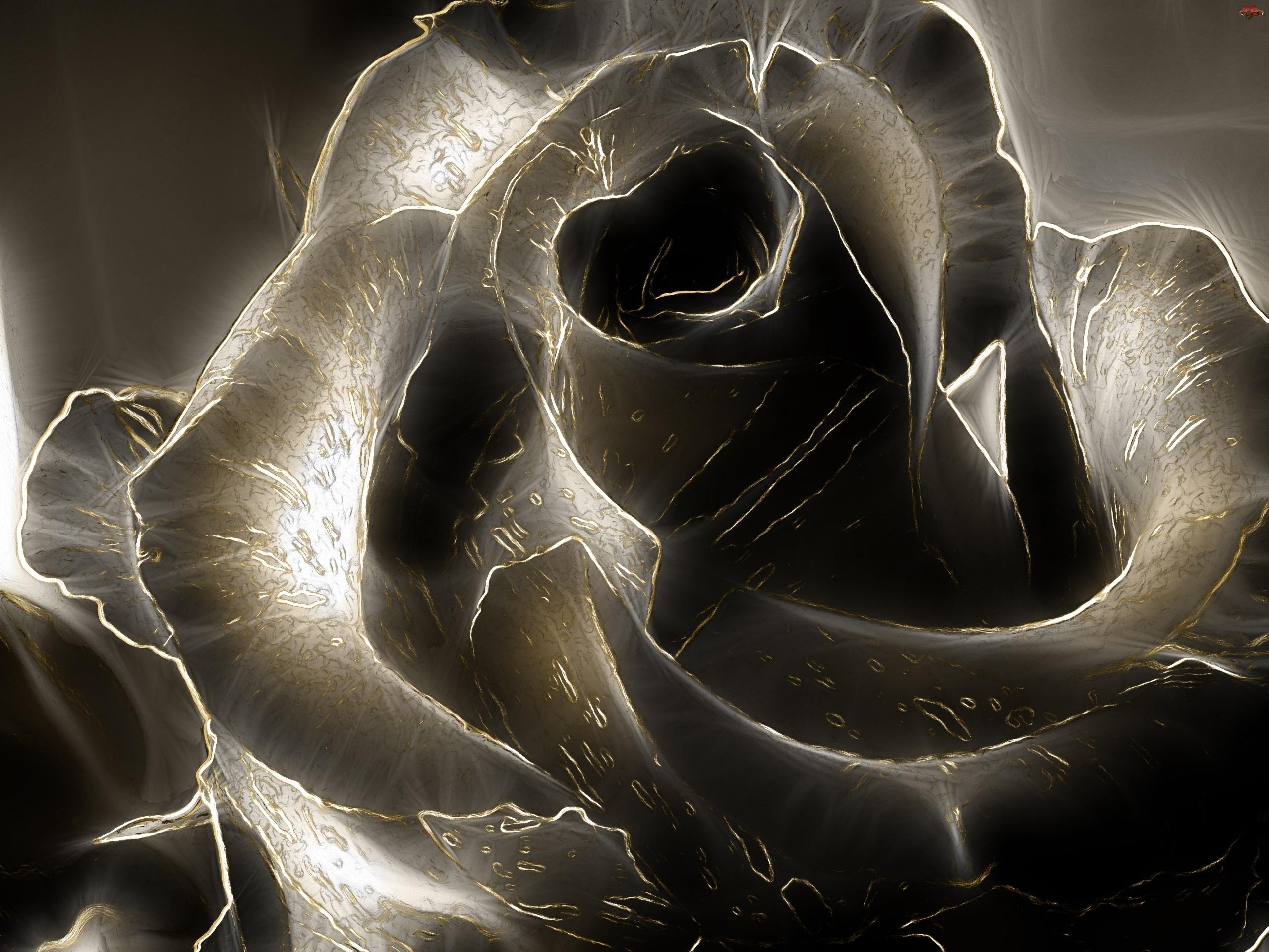Neon Rose Wallpapers - Top Free Neon Rose Backgrounds - WallpaperAccess