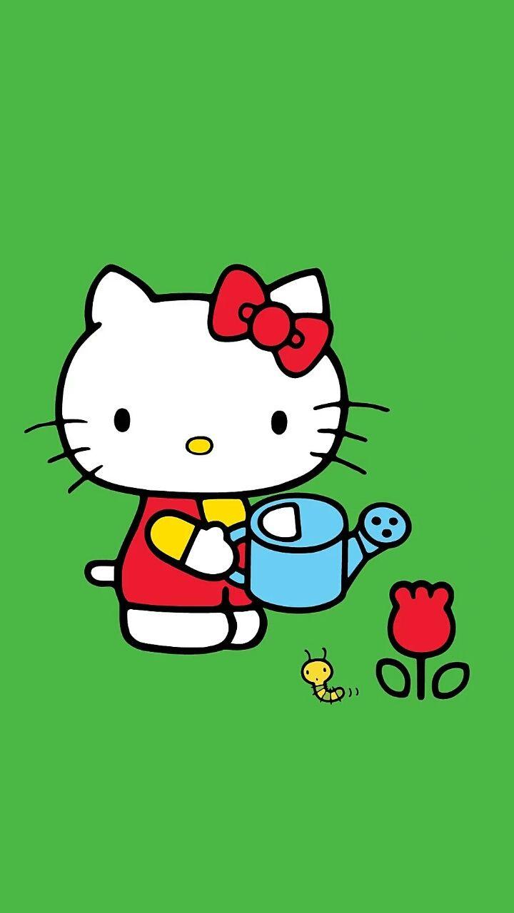 Hello Kitty Summer Wallpapers - Top Free Hello Kitty Summer Backgrounds ...