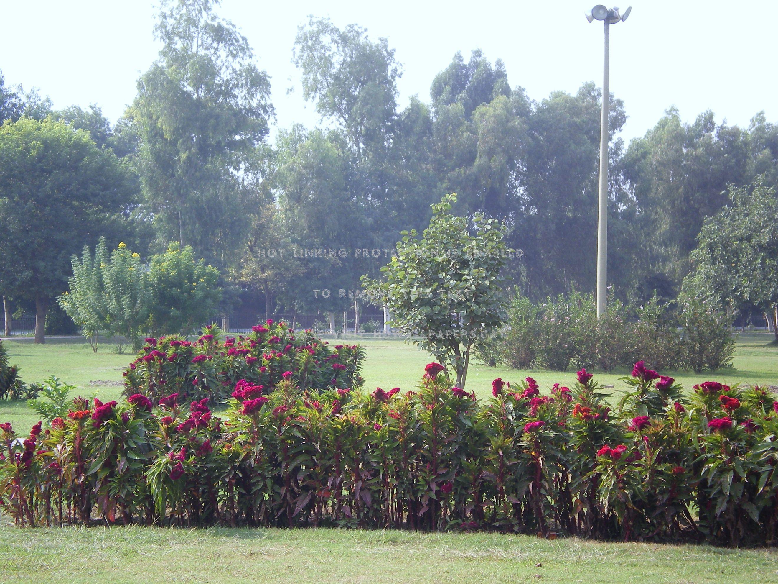 Botanical Garden Wallpapers - Top Free Botanical Garden Backgrounds ...