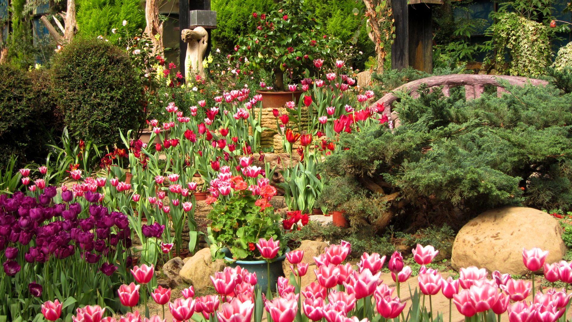 Botanical Garden Wallpapers - Top Free Botanical Garden Backgrounds ...