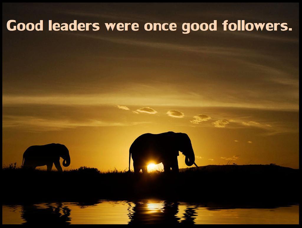 Leadership Wallpapers - Top Free Leadership Backgrounds - WallpaperAccess
