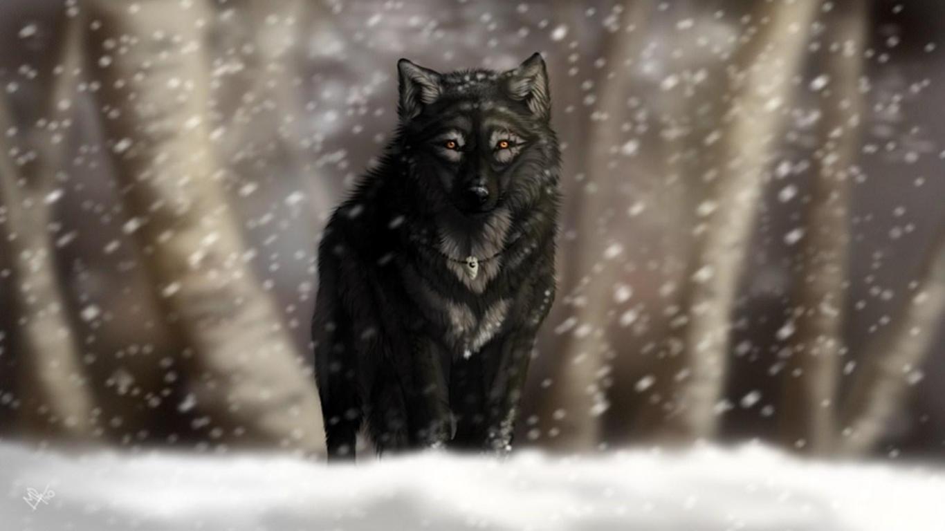Wolves in Snow Wallpapers - Top Free Wolves in Snow Backgrounds ...