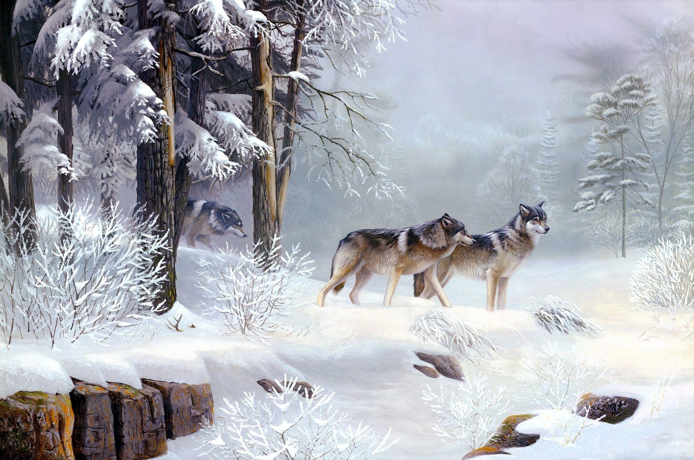 Wolves in Snow Wallpapers - Top Free Wolves in Snow Backgrounds ...