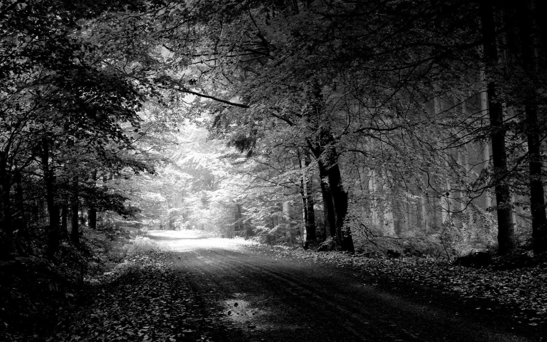 Black and White Photography Wallpapers - Top Free Black and White ...