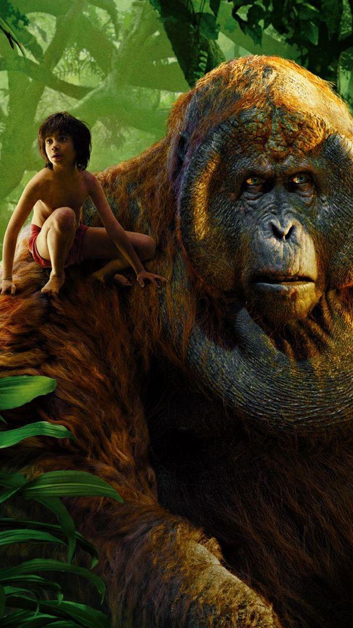 Mowgli Wallpapers - Top Free Mowgli Backgrounds - WallpaperAccess