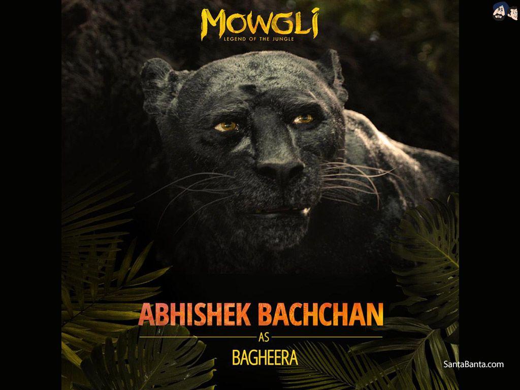 Mowgli Wallpapers - Top Free Mowgli Backgrounds - WallpaperAccess