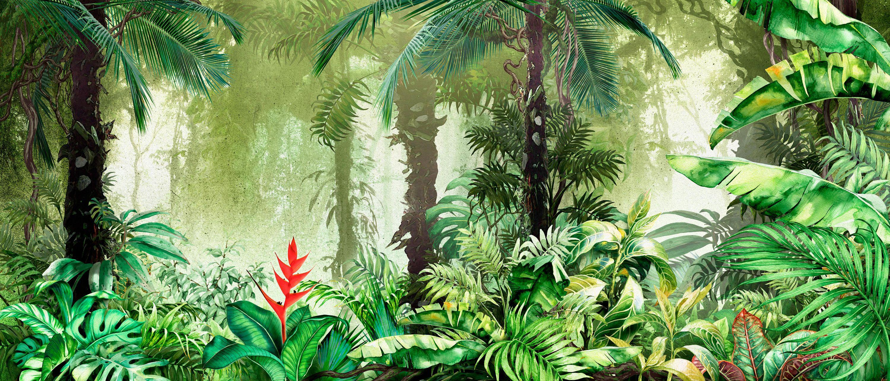 Mowgli Wallpapers - Top Free Mowgli Backgrounds - WallpaperAccess