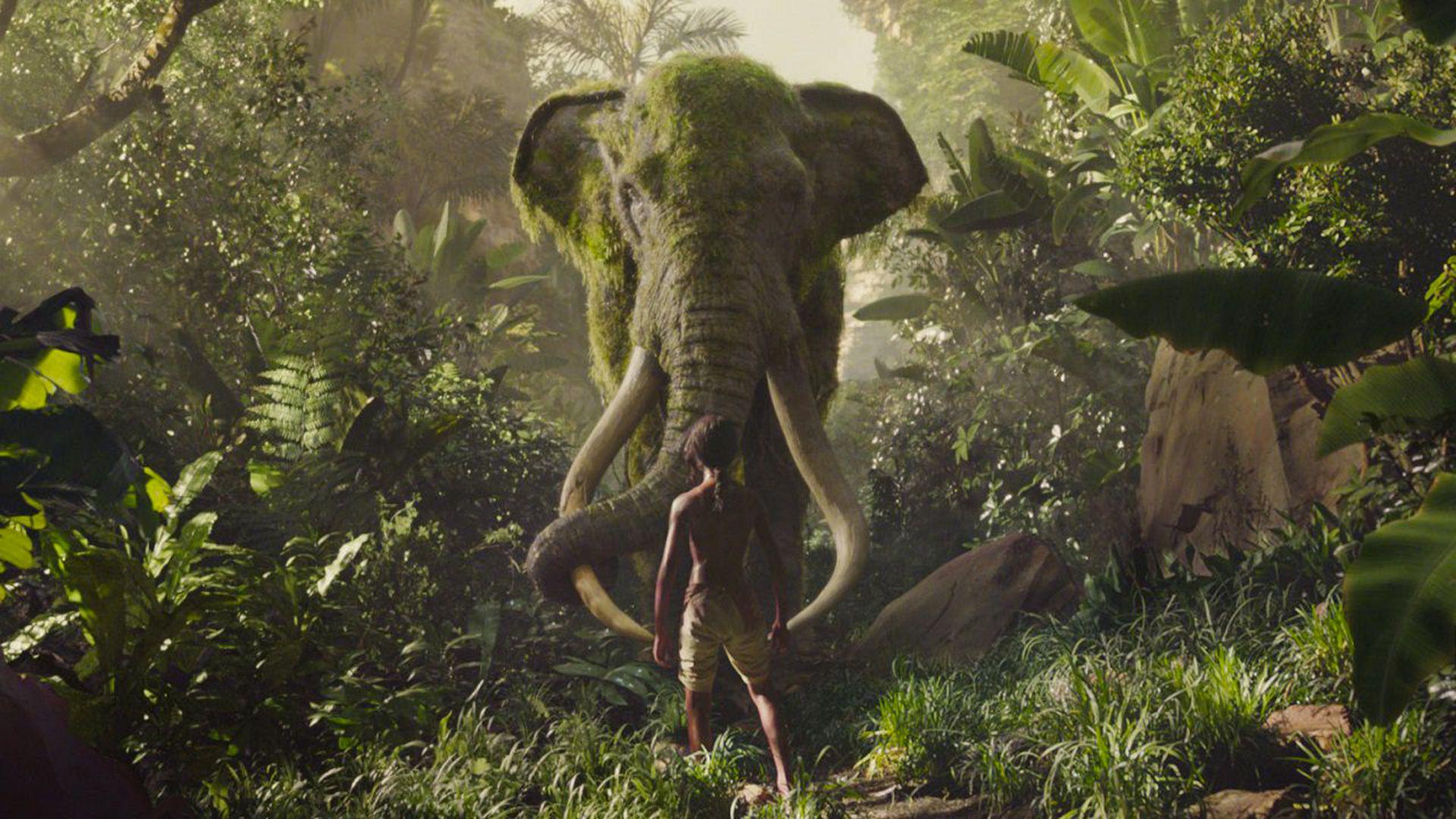 Mowgli Wallpapers - Top Free Mowgli Backgrounds - WallpaperAccess