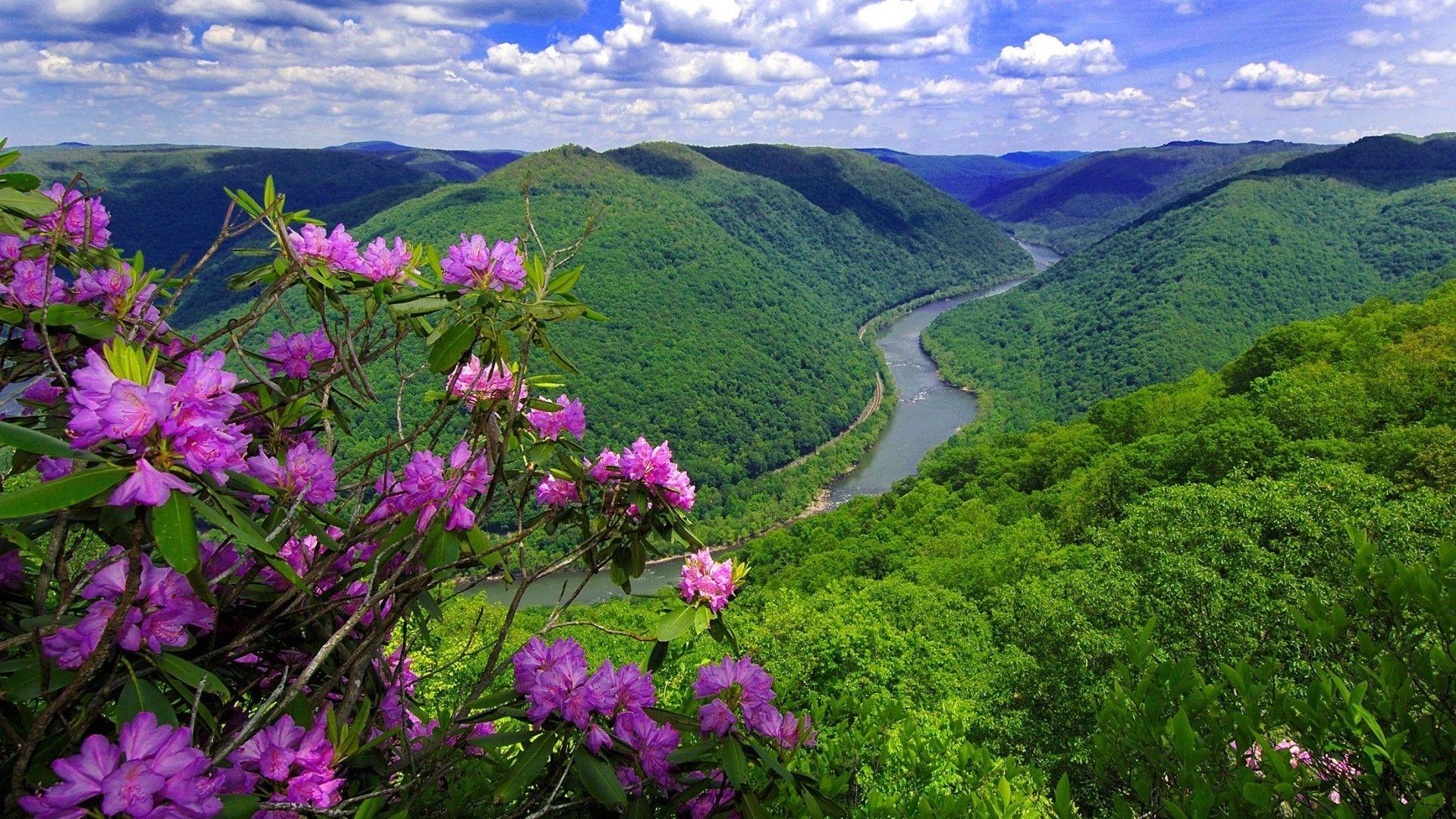 West Virginia Wallpapers - Top Free West Virginia Backgrounds ...