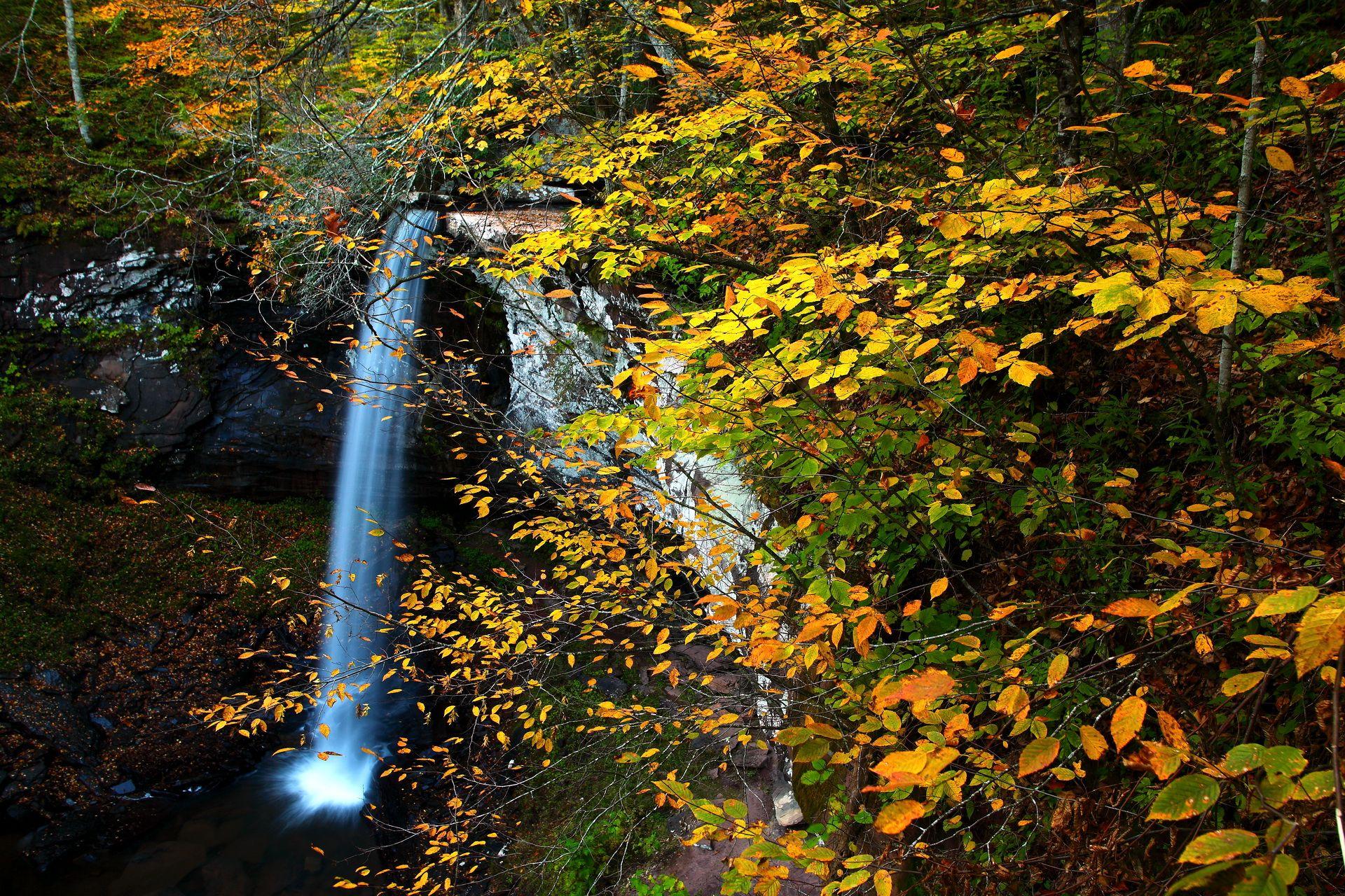 West Virginia Wallpapers - Top Free West Virginia Backgrounds ...