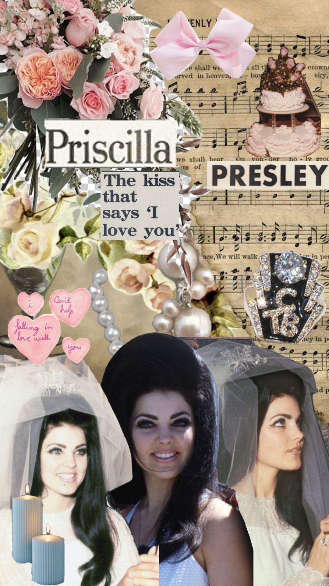 Priscilla Wallpapers - Top Free Priscilla Backgrounds - WallpaperAccess