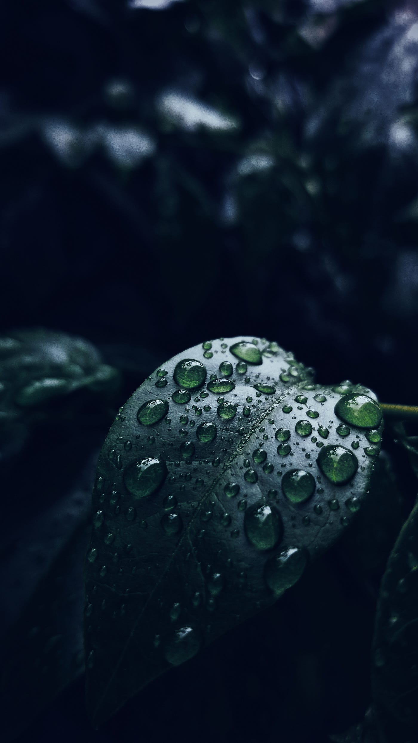 Mobile Photography Wallpapers - Top Free Mobile Photography Backgrounds ...