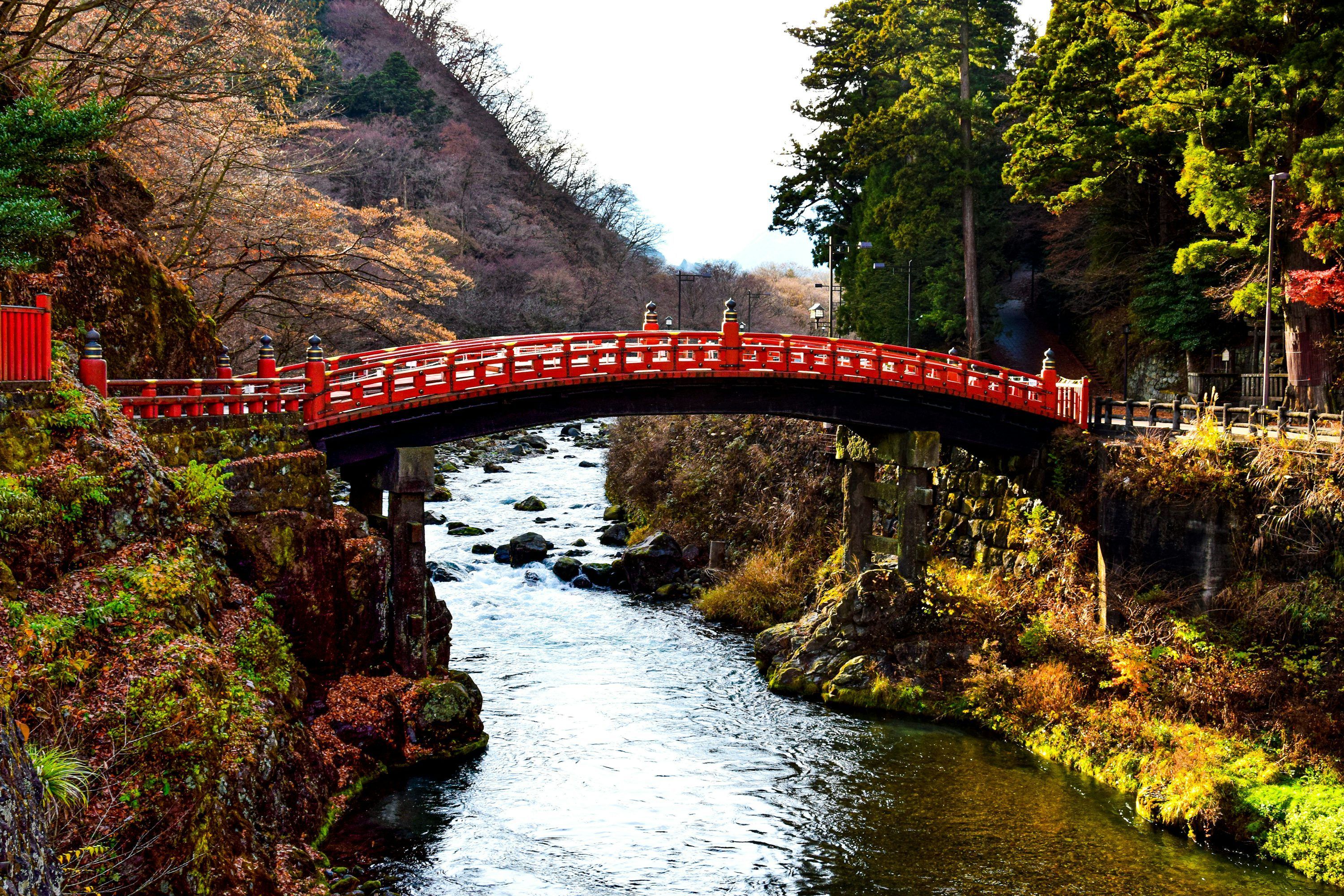 Nikko Wallpapers - Top Free Nikko Backgrounds - WallpaperAccess