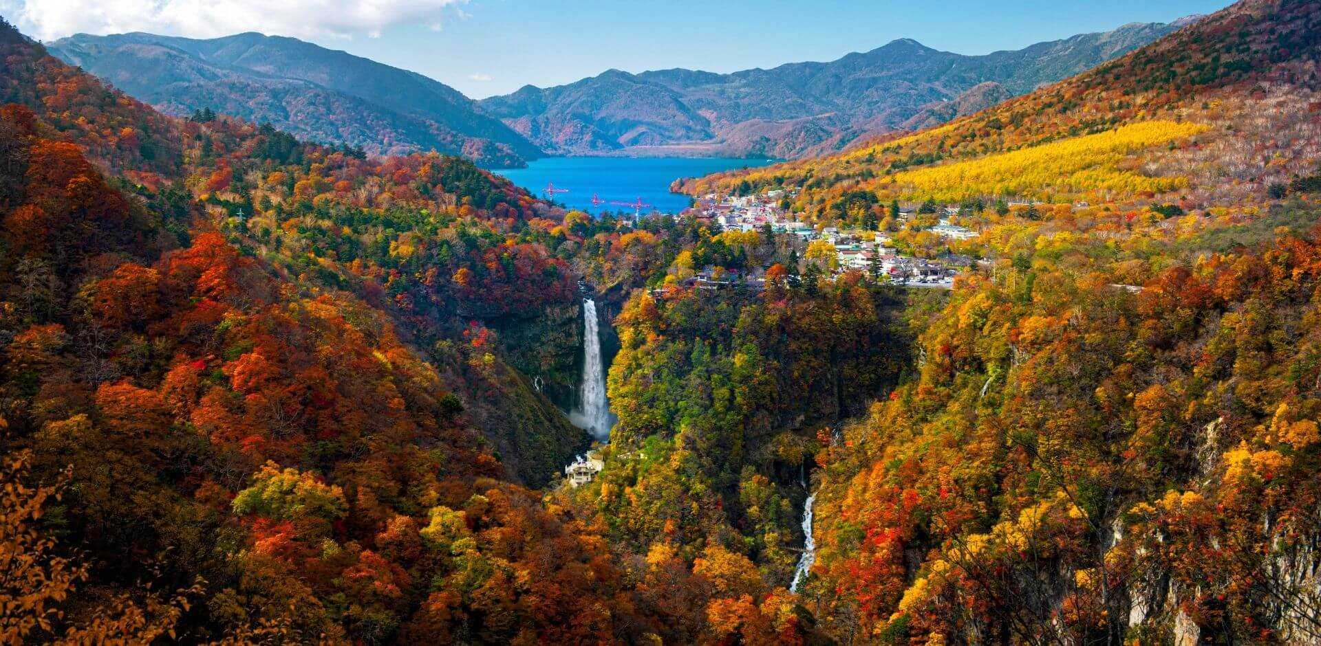 Nikko Wallpapers - Top Free Nikko Backgrounds - WallpaperAccess