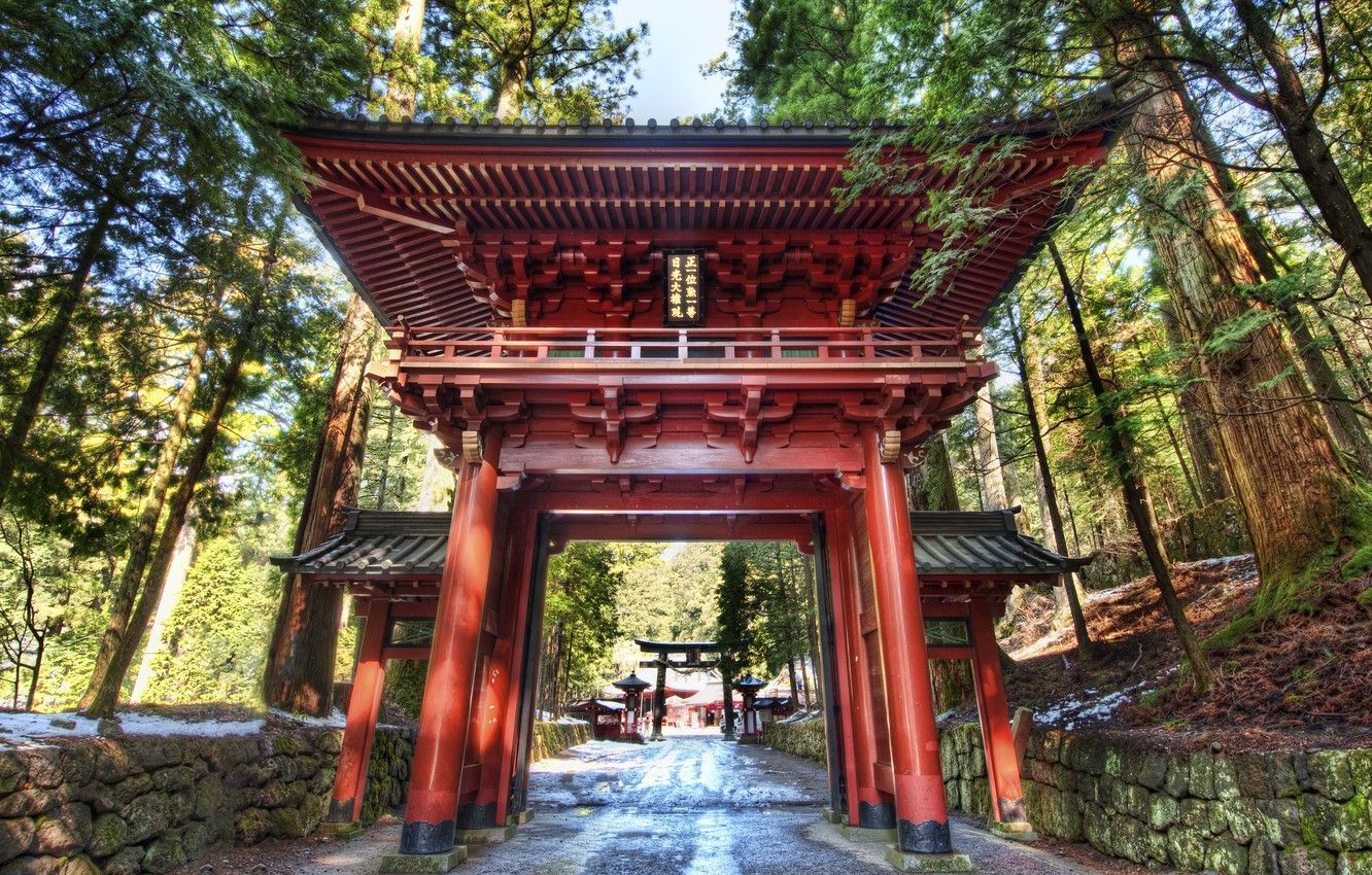 Nikko Wallpapers - Top Free Nikko Backgrounds - WallpaperAccess