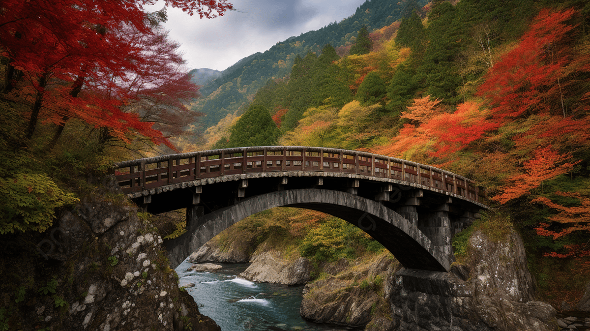 Nikko Wallpapers - Top Free Nikko Backgrounds - WallpaperAccess