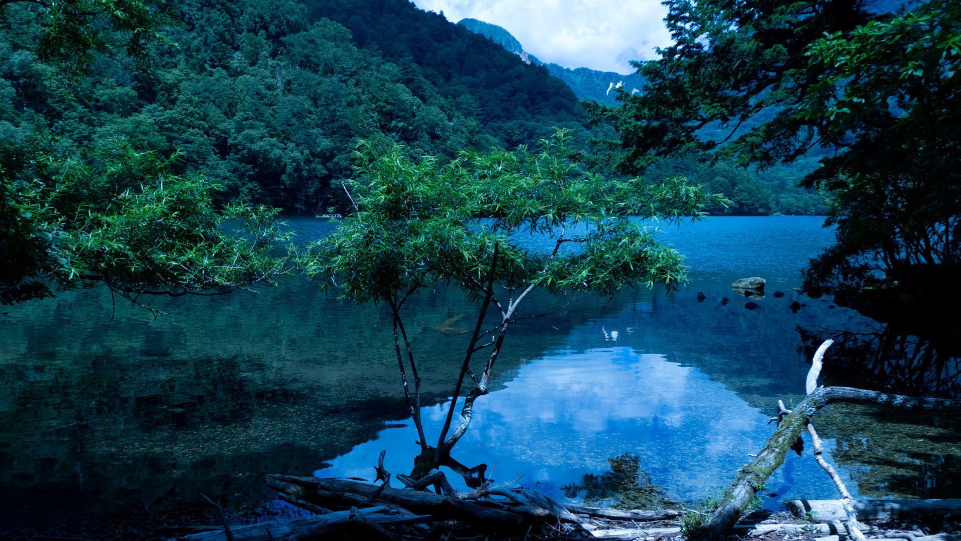 Nikko Wallpapers - Top Free Nikko Backgrounds - WallpaperAccess